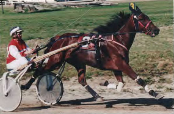 Sit In the Driver's Seat with Harness Racing!