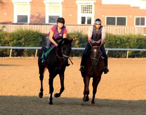 Riding Racehorses: What Does It Take to Be An Exercise Rider?