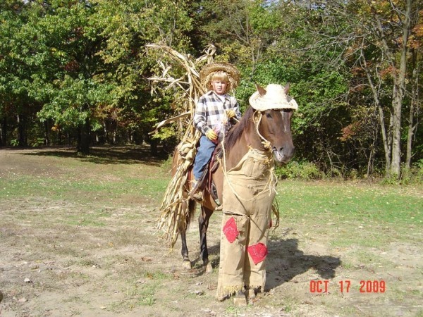 25 Amazing Halloween Costumes for Horses You Won’t Believe!