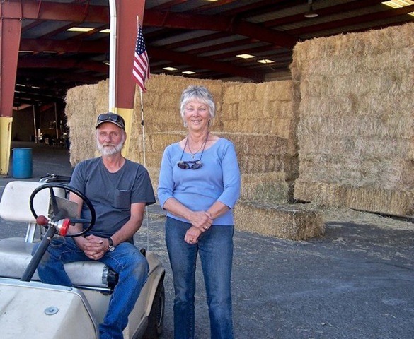 When Horse Trailers Save Lives