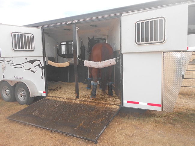 Reverse Load Horse Trailer: Learn About a Popular New Trend