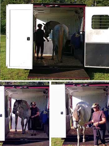 3 Horse Slant Trailer: Easy Loading, Walk On/Walk Off Layout