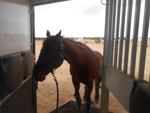 How to Easily Load and Unload an Anxious Horse onto a Horse Trailer