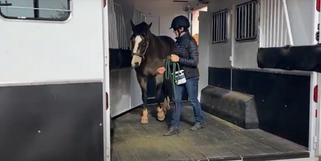 How to Easily Load and Unload an Anxious Horse onto a Horse Trailer
