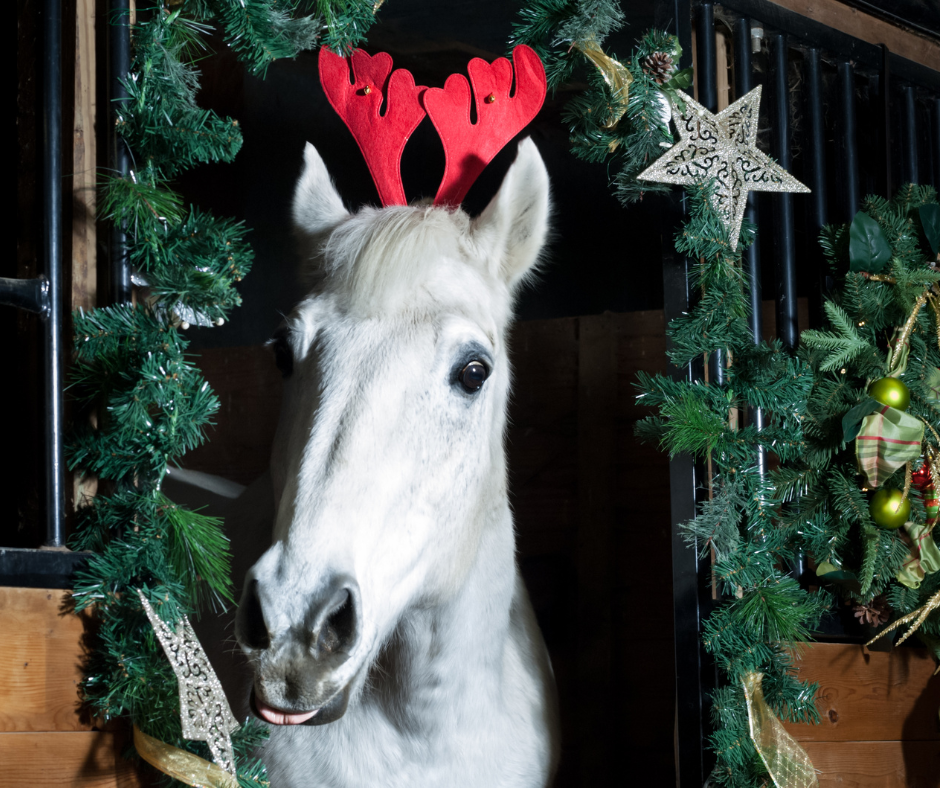 16 Must-See Horse Christmas Pictures