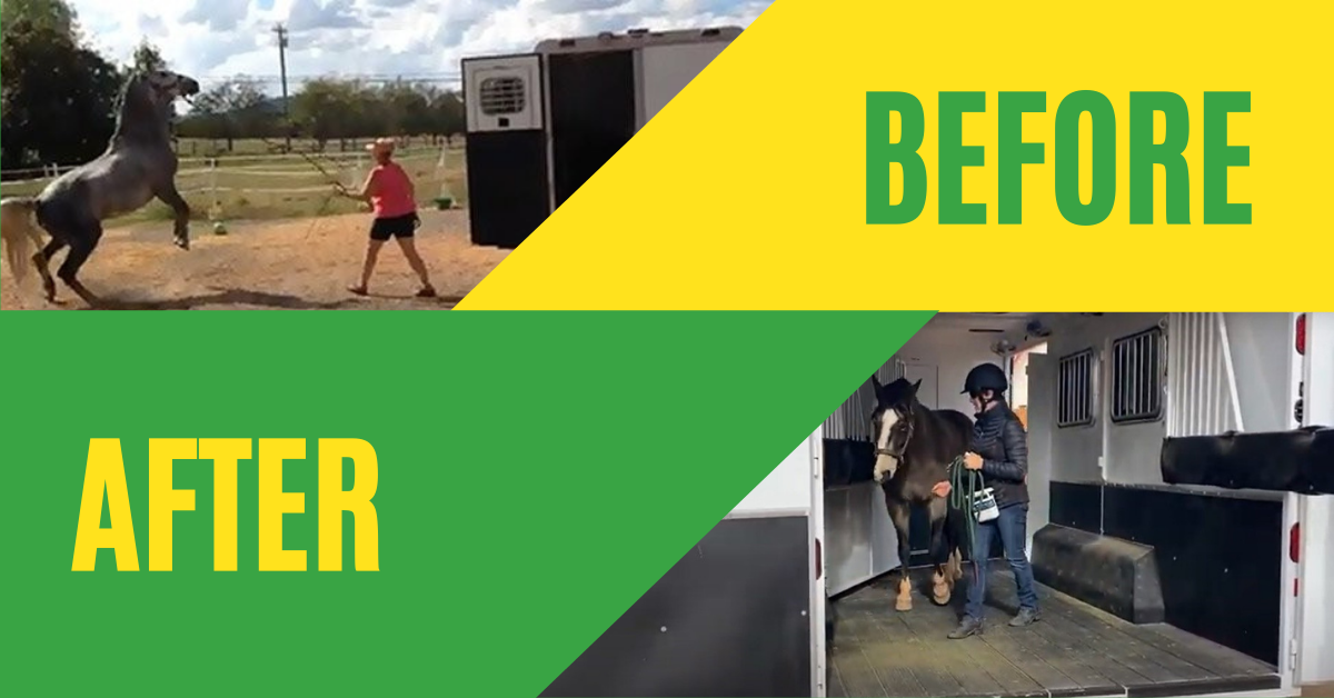 How to Easily Load and Unload an Anxious Horse onto a Horse Trailer