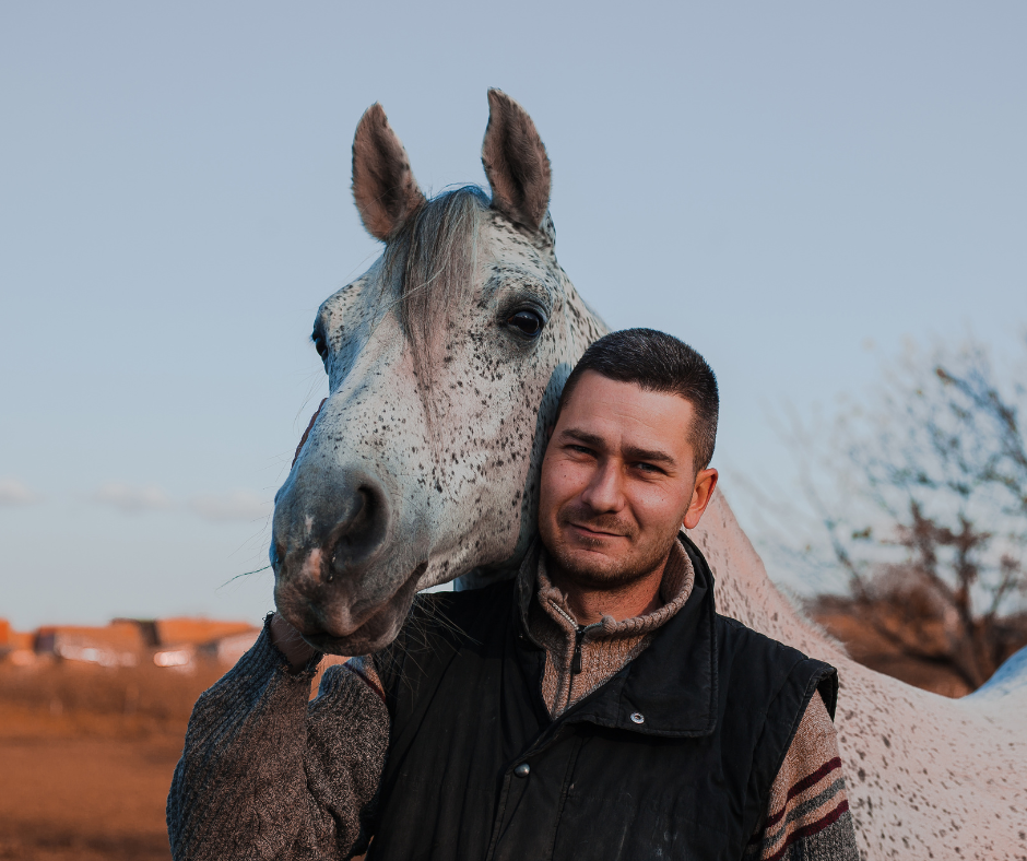 Horse Ownership for Beginners: The Ultimate Guide for Beginner Horse Owners