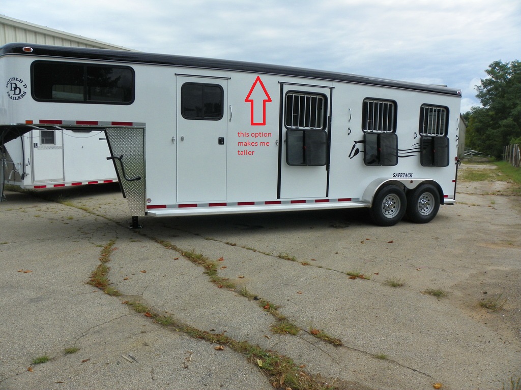 SafeTack Slant Load 2 Horse Bumper Pull Horse Trailers