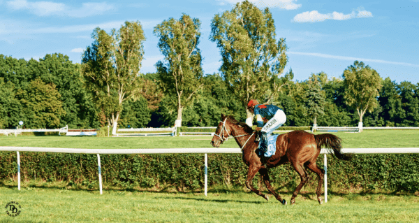 Horse Jockeys: Facts, Weight, Size, Salary, and Training