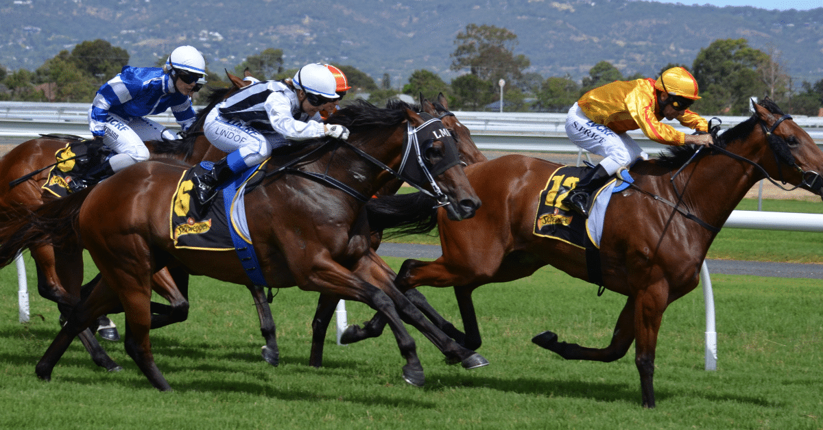 Horse Jockey Facts: Weight, Salary, Height & Training