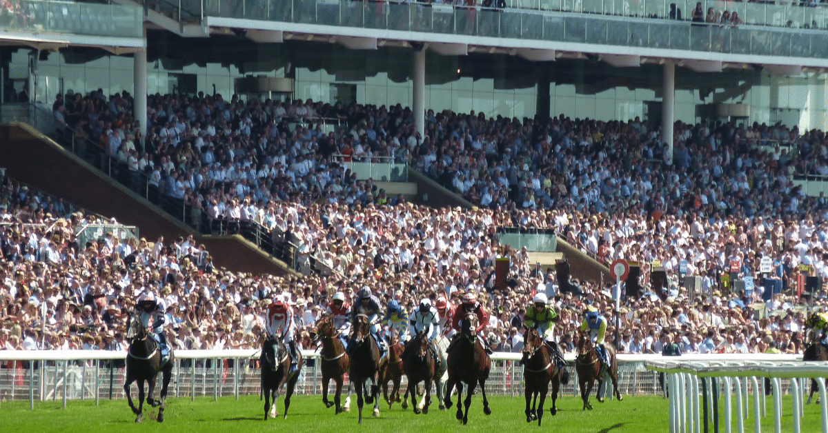 The Racehorse Expense [How Much Racehorses Cost]