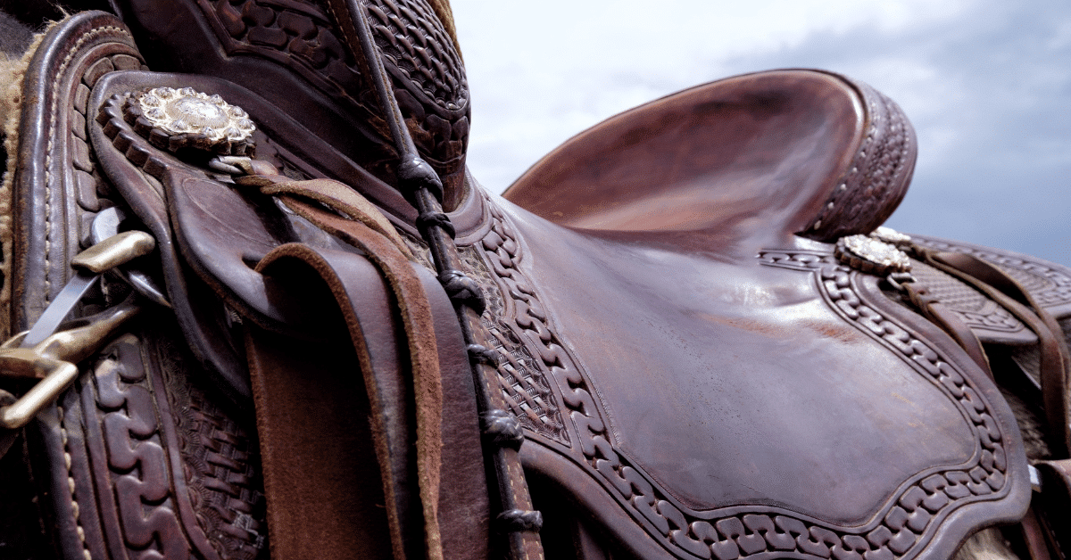 Learn the Best Way to Clean a Saddle (Plus Maintenance Tips)