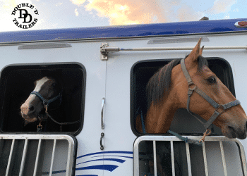 Navigating Horse Trailer Laws for Responsible Ownership - Double D Trailers