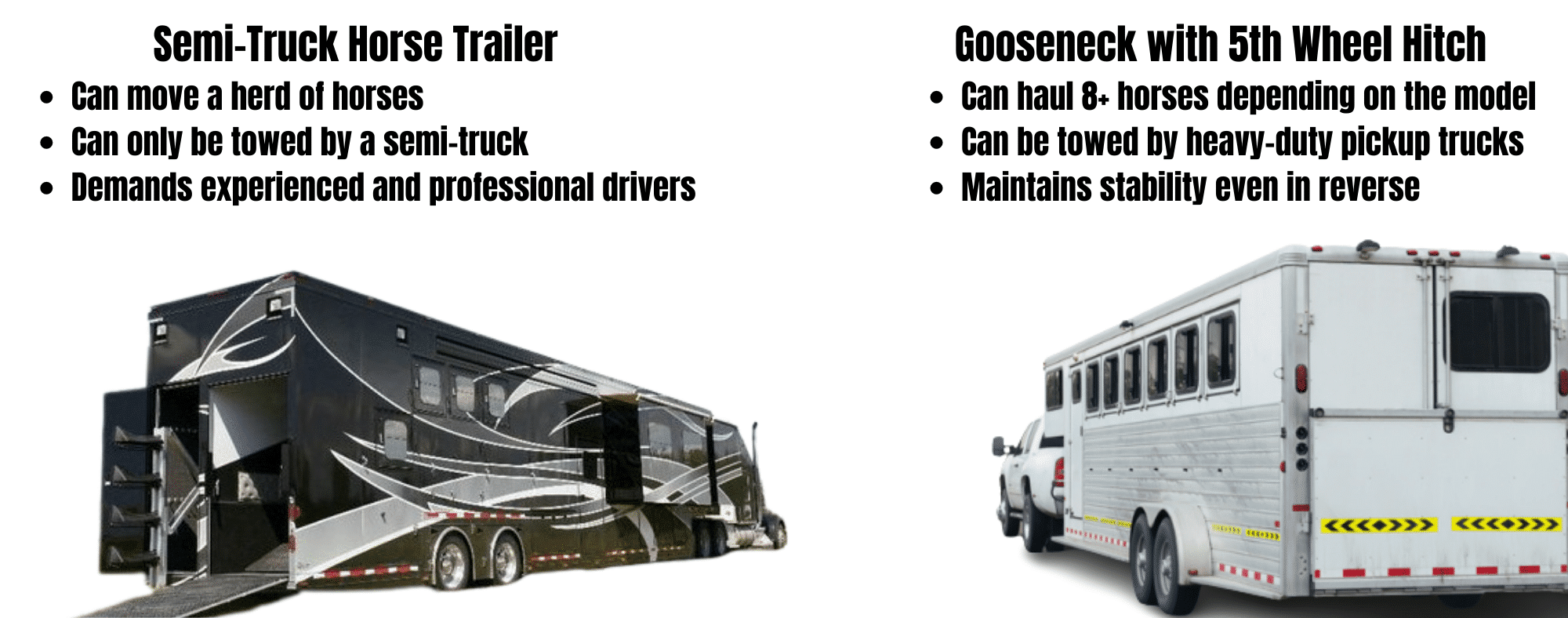 23 Horse Trailer Types to Know: Which One Should I Buy? - Double D Trailers