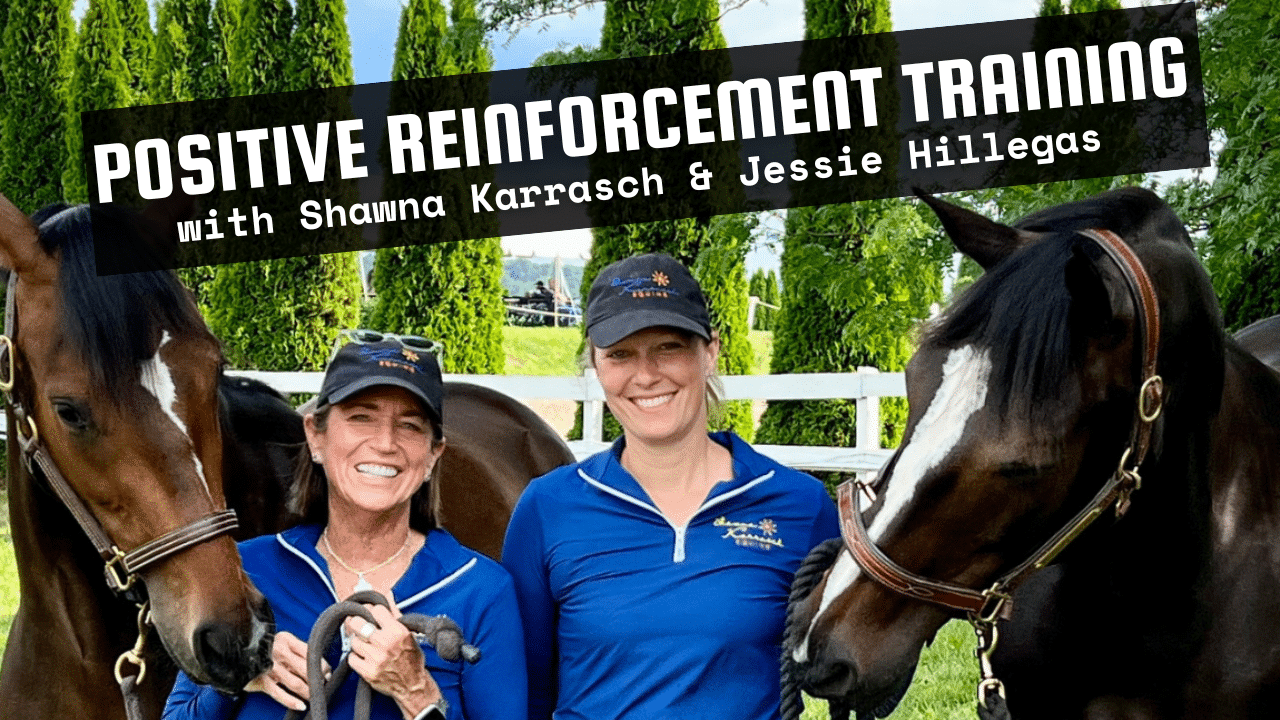 The Power of Positive Reinforcement Training for Horses