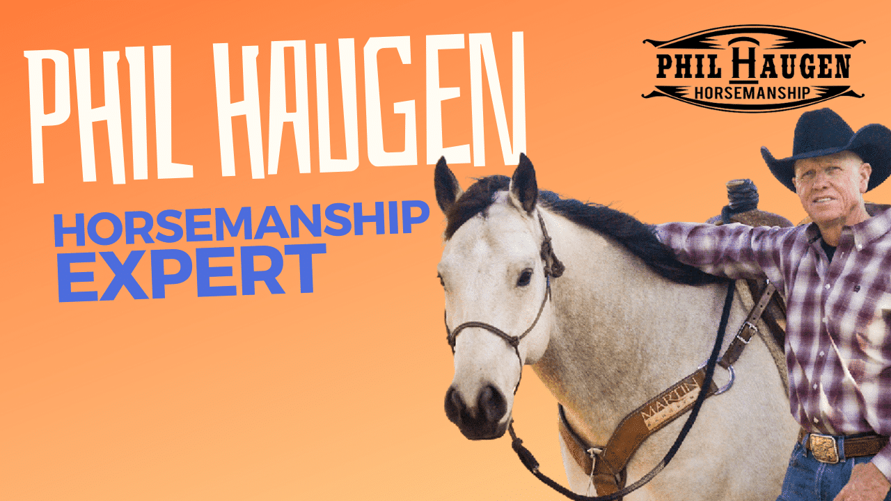 The Journey of a Horseman: Phil Haugen's 40 Years of Wisdom